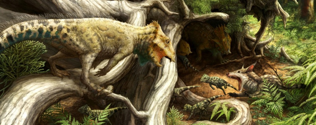 Discovering Aquilops Americanus - Sam Noble Museum