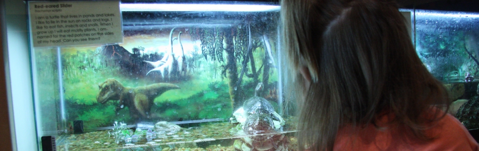 Discovery Room – Sam Noble Museum