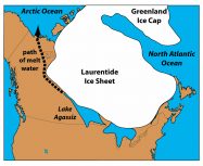 Pleistocene Extinctions - Sam Noble Museum