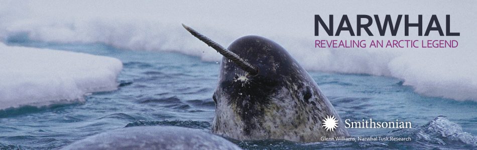 Previous Exhibits - Sam Noble Museum