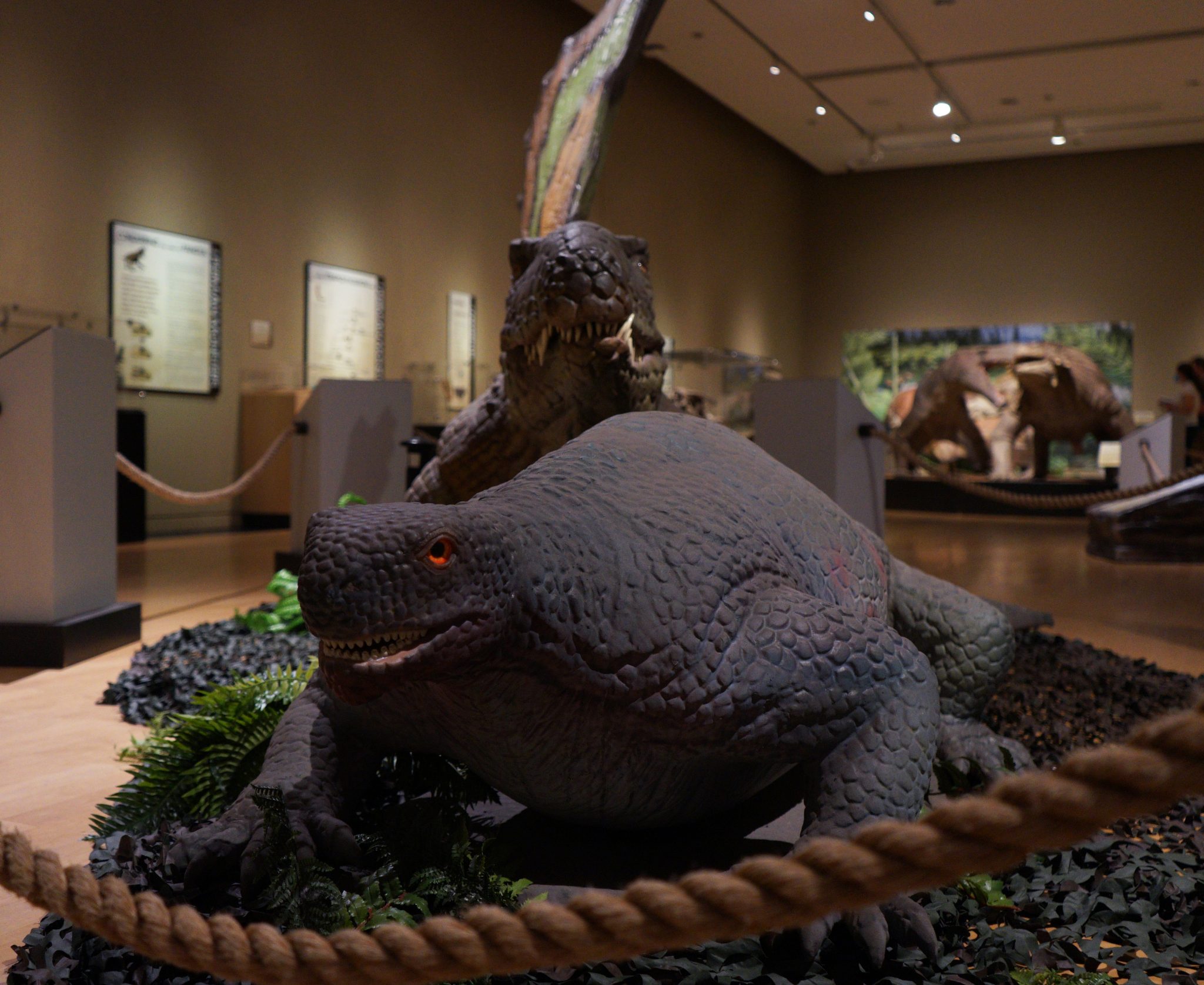 Permian Monsters Invade Norman - Sam Noble Museum