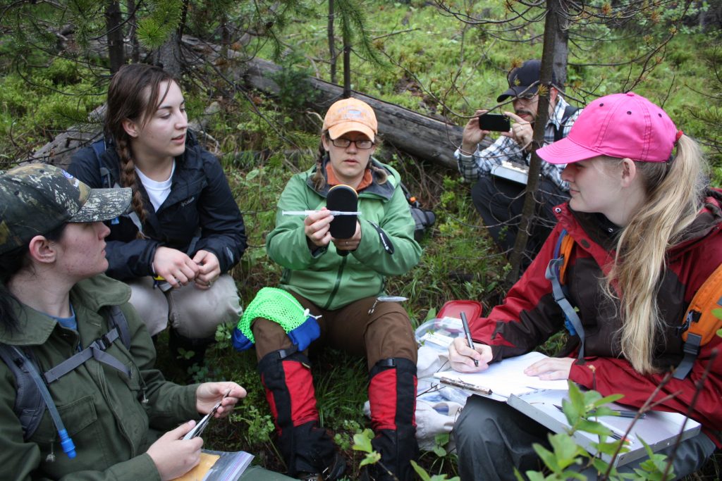 Small Mammal Research at Yellowstone - Sam Noble Museum