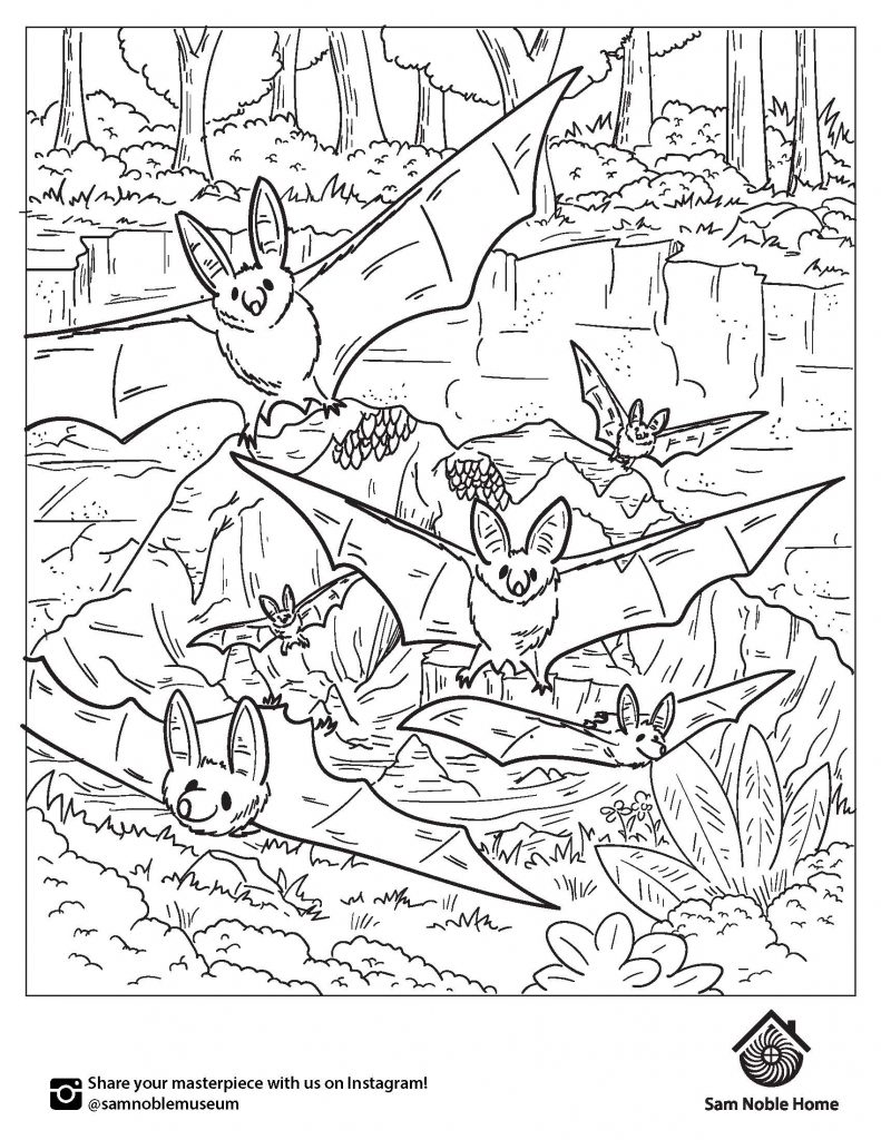 Coloring Pages - Sam Noble Museum