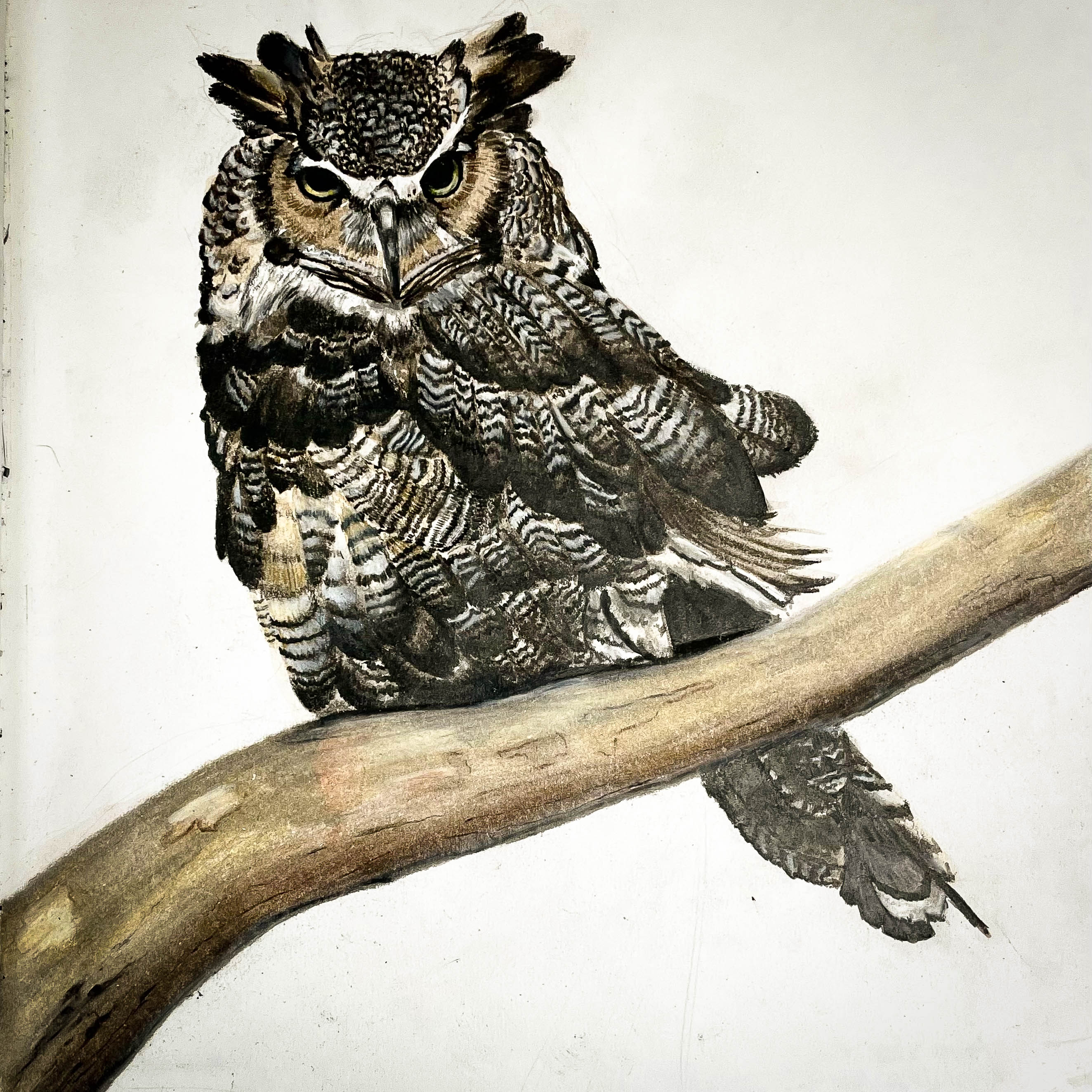 Current Exhibits - Sam Noble Museum