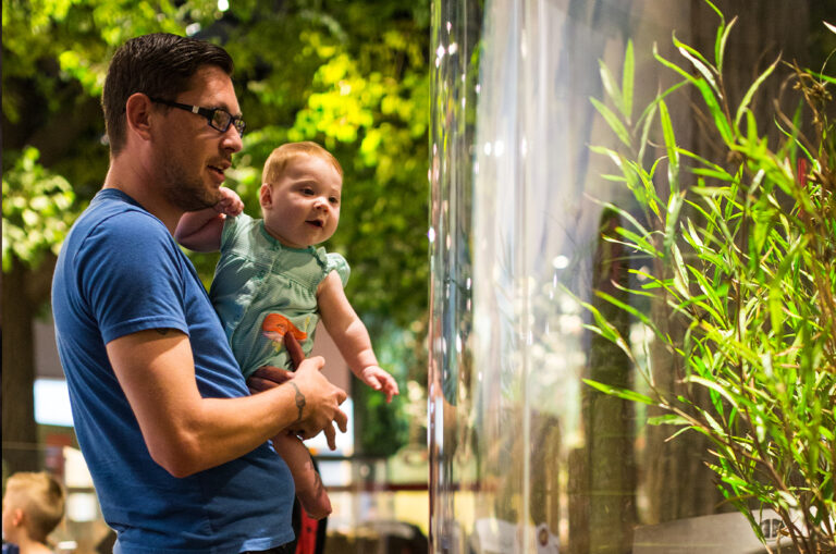 Plan Your Visit - Sam Noble Museum