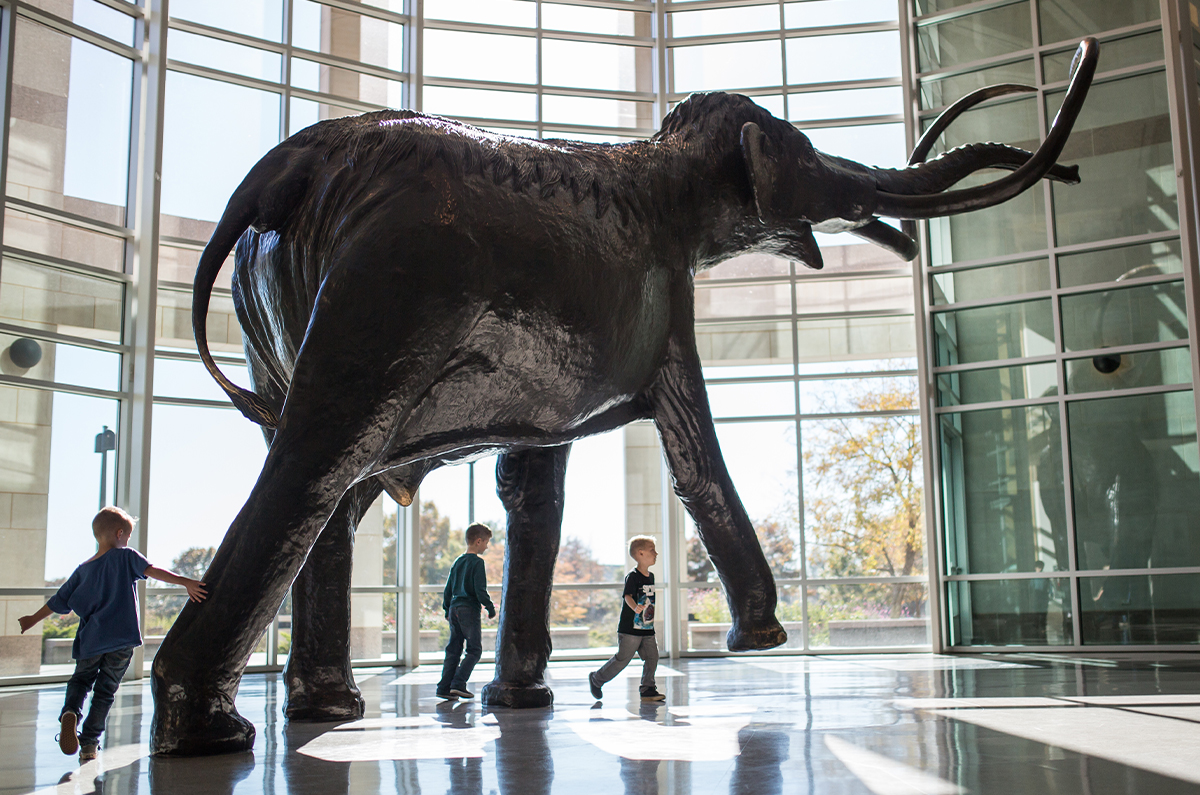 Plan Your Visit - Sam Noble Museum