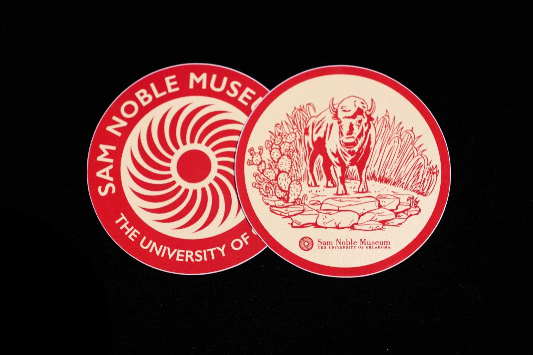 25 Years of Wonder at the Sam Noble Museum - Sam Noble Museum