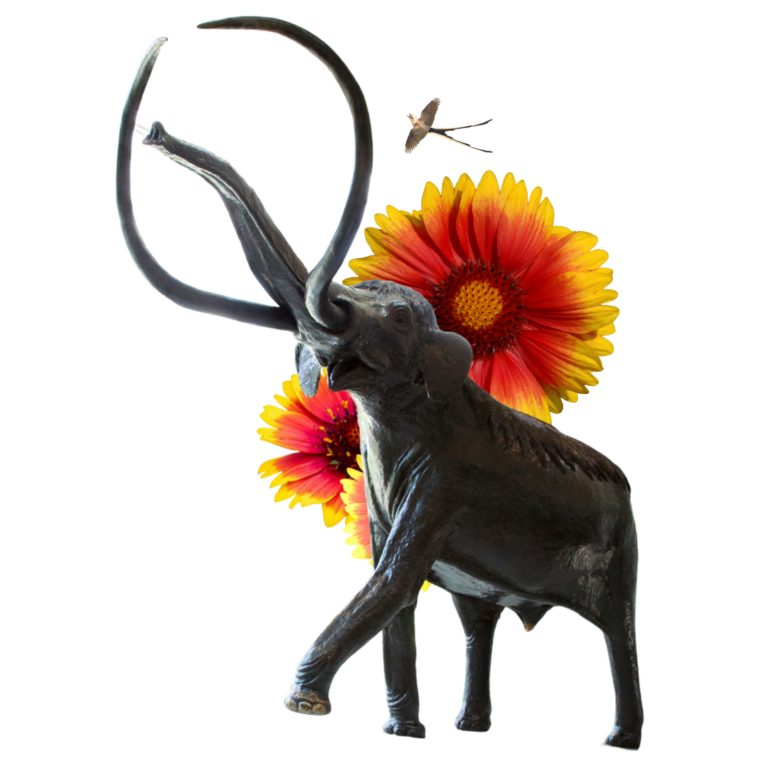 25 Years of Wonder at the Sam Noble Museum - Sam Noble Museum