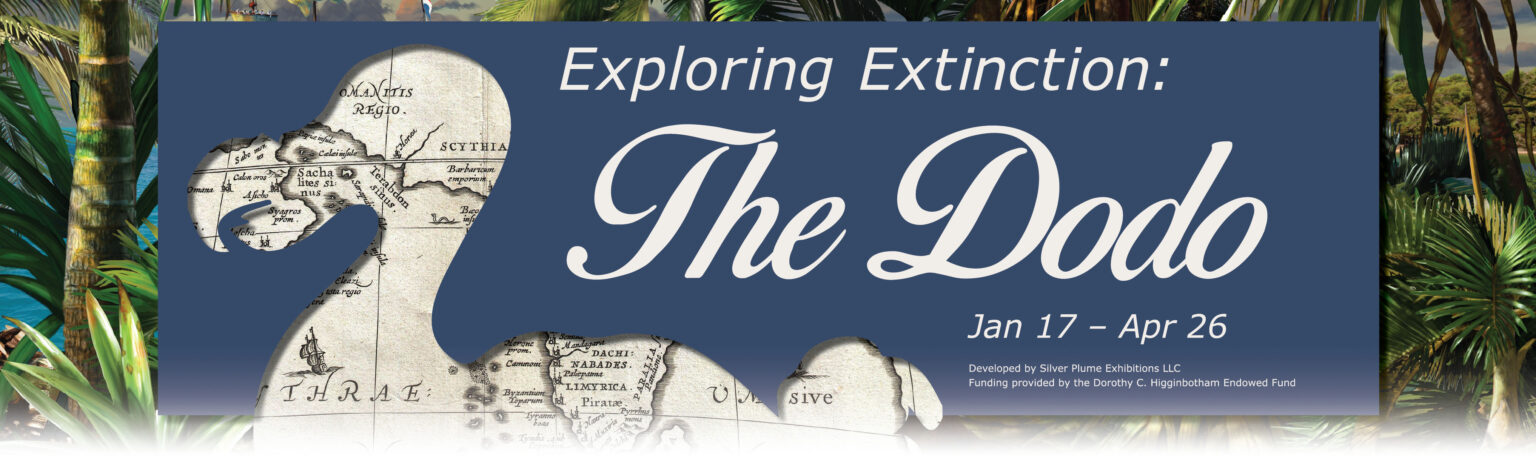 Current Exhibits - Sam Noble Museum